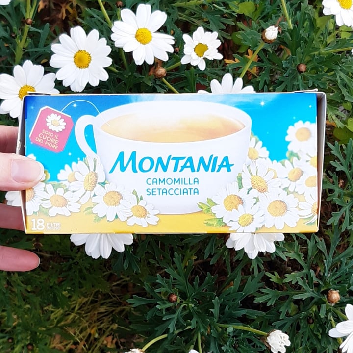 Montania Camomilla setacciata Review | abillion