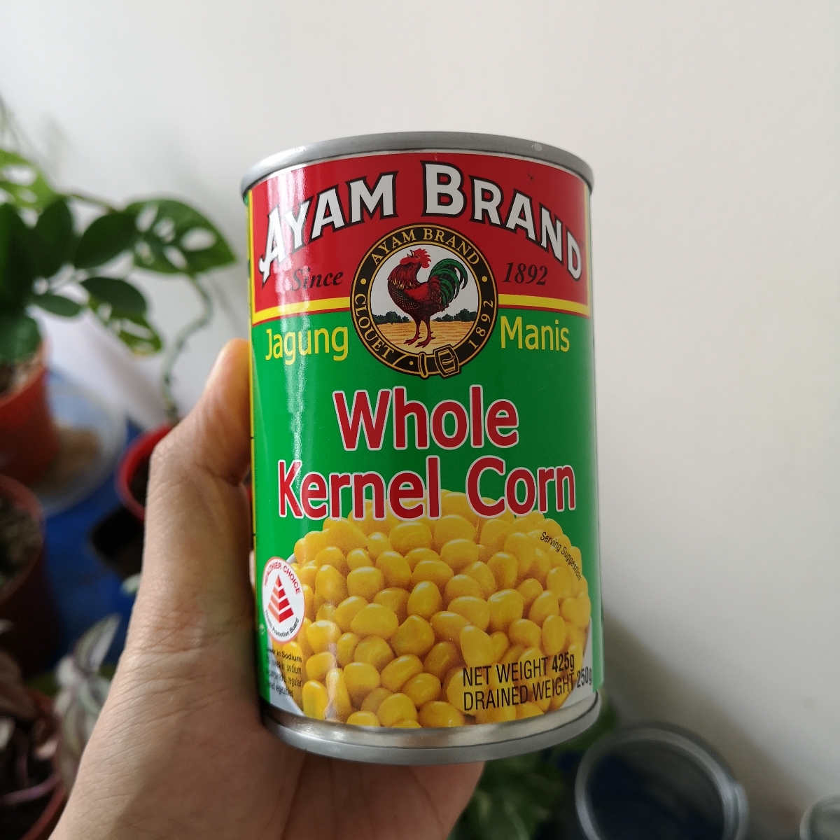 Whole Kernel Corn from Ayam Brand - Vegan Product Reviews & Ratings ...