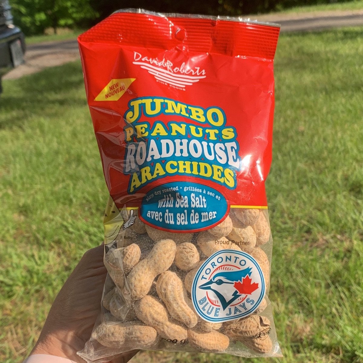 Jumbo Peanuts Roadhouse with Sea salt from David Roberts - Vegan ...