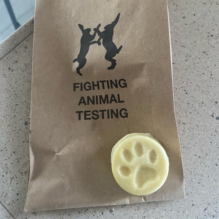 LUSH Fresh Handmade Cosmetics Charity Pot Coin Animal Rights Review ...