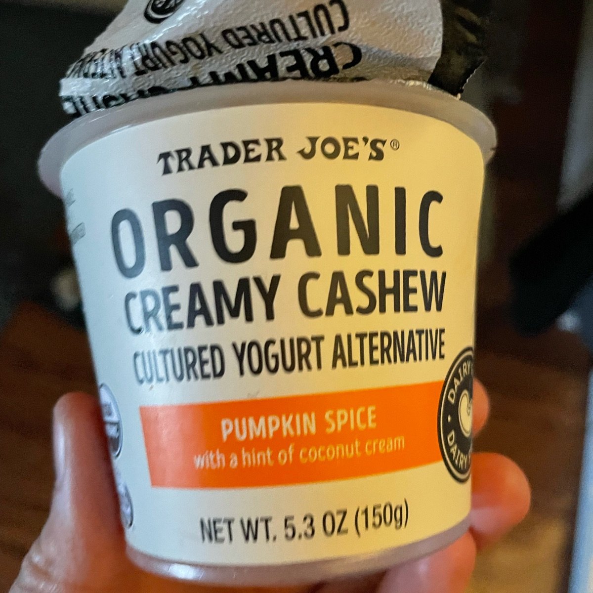 Organic Creamy Cashew Cultured Yogurt Alternative: Pumpkin Spice from ...