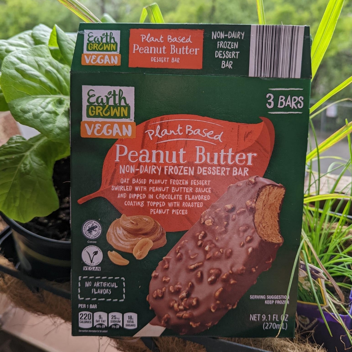 Peanut Butter Non-dairy frozen dessert bar at Earth Grown - Review by ...