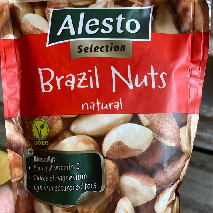 Alesto Brazil Nuts Review | abillion