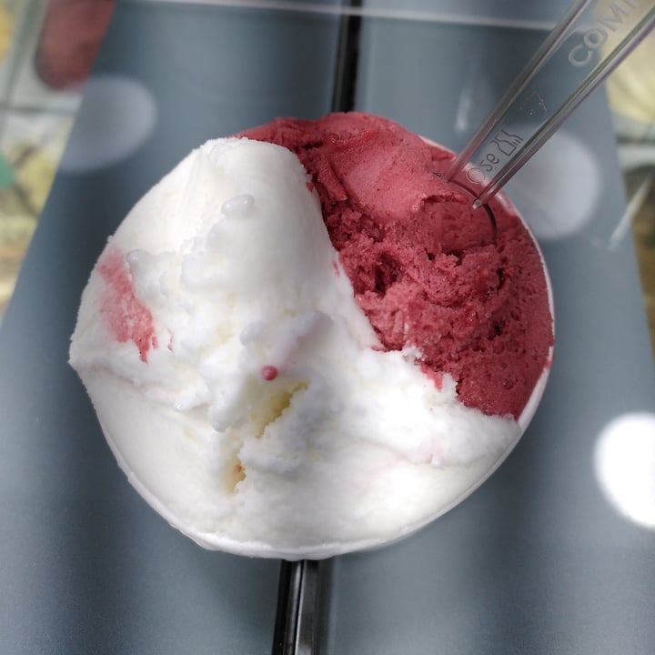 Gelateria Italiana Deliziosa Barcelona, Spain helado vegano mora y ...