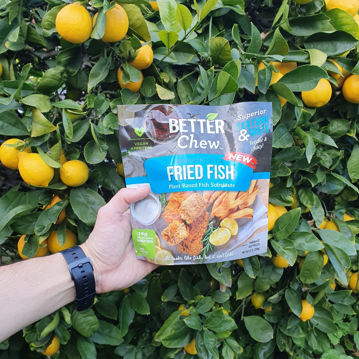 Southern Style Fried Fish from Better Chew - Vegan Product Reviews ...