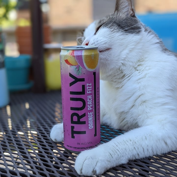 Truly Orange Peach Fizz Review | abillion