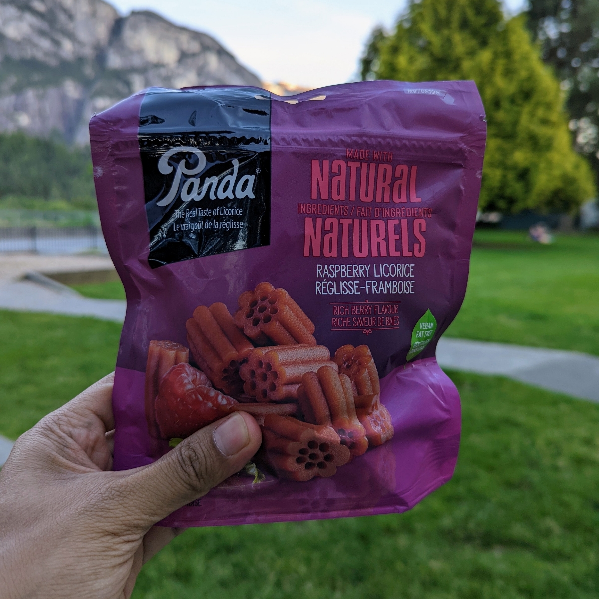 Panda Panda Raspberry Licorice Reviews | abillion