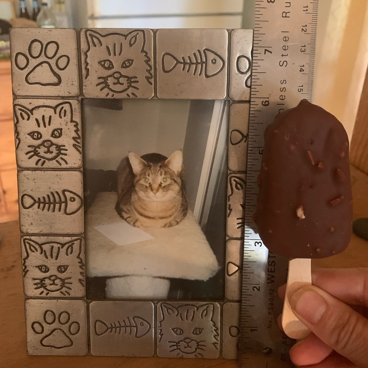 Classic Almond Mini from Magnum - Vegan Product Reviews & Ratings ...