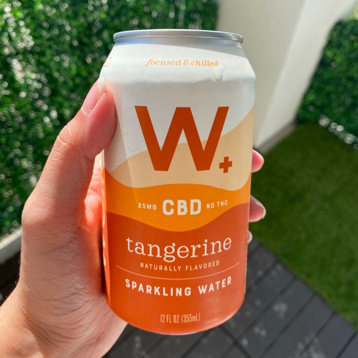 Weller + CBD Tangerine Sparkling Water Reviews | abillion