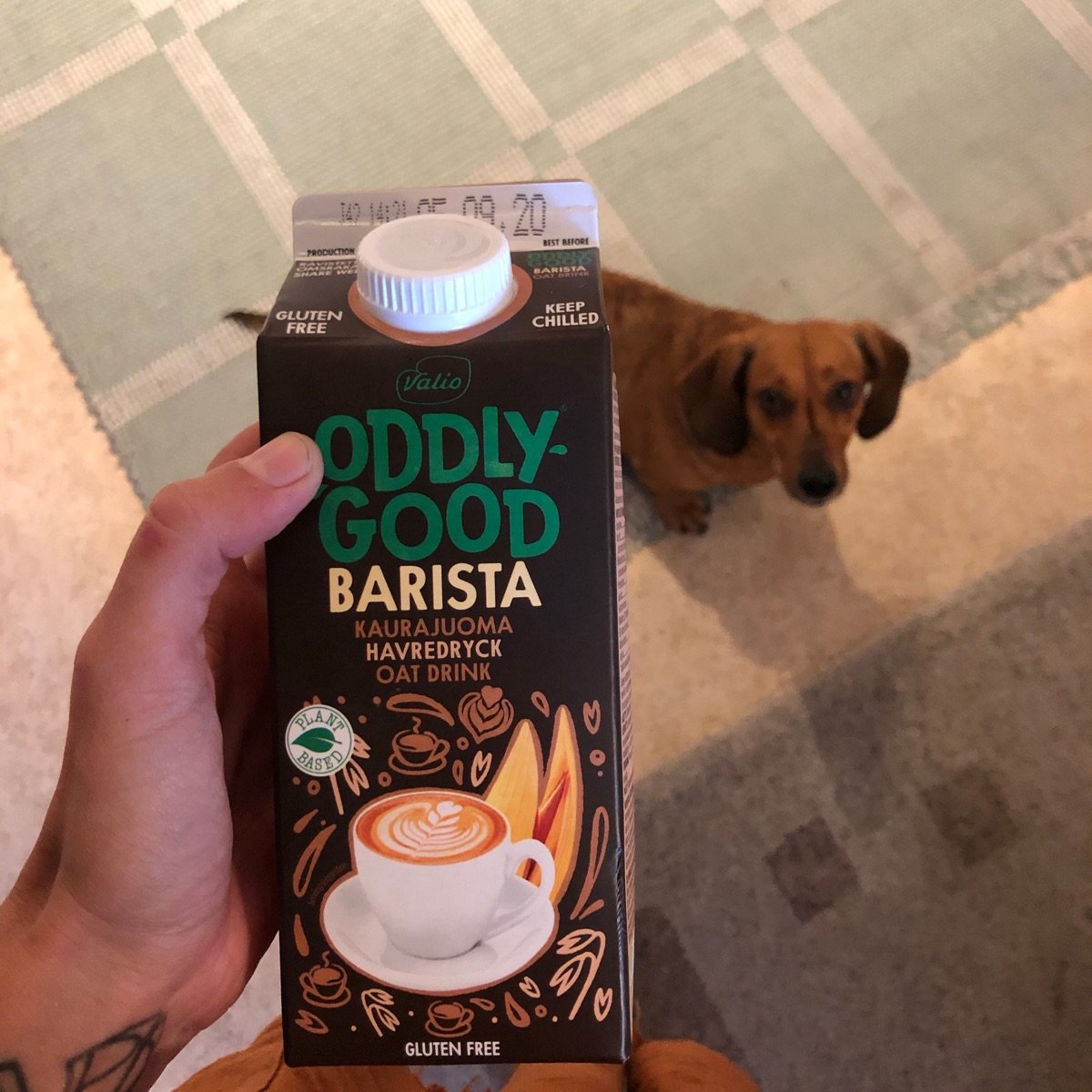 Oddly Good Barista from Valio - Vegan Product Reviews & Ratings | abillion