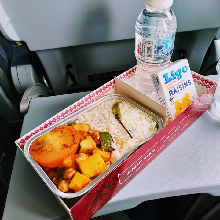 Malaysia Airlines Vegetarian Vegan Meal (VGML) Review | abillion