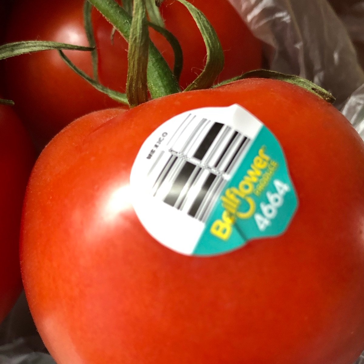 Tomato on the vine from Bellflower produce - Vegan Product Reviews ...