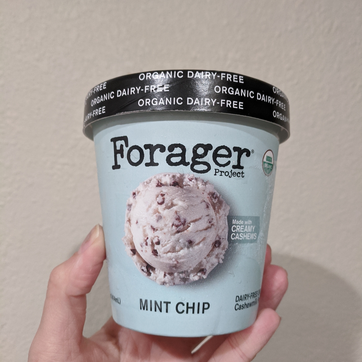 Mint chip Dairy free frozen dessert from Forager Project - Vegan ...