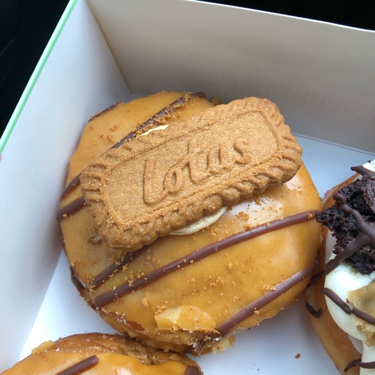 Avaliações de David Hasselhoff da Doughnut Time | abillion