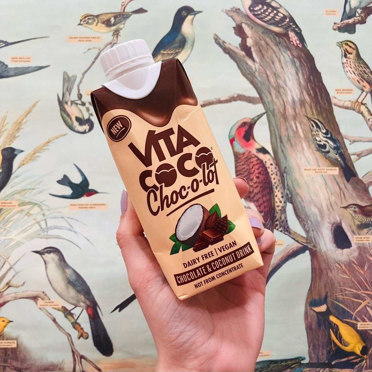 Choc-o-lot drink from Vita Coco - Vegan Product Reviews & Ratings ...