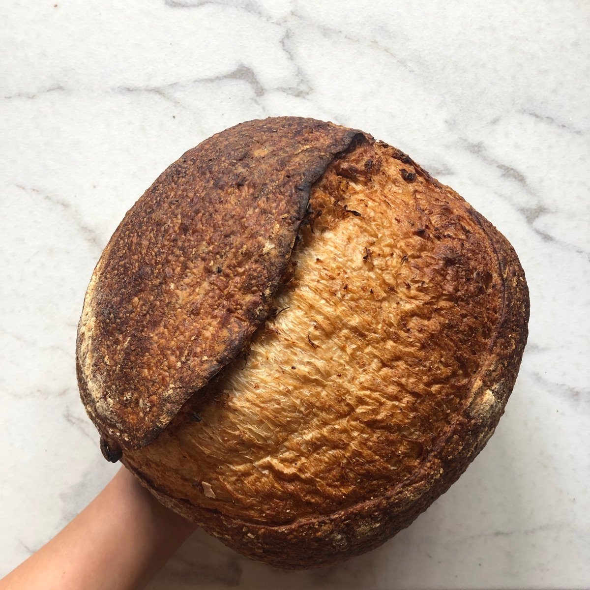 Sourdough Loaf from Burnt Ends - Vegan Product Reviews & Ratings | abillion
