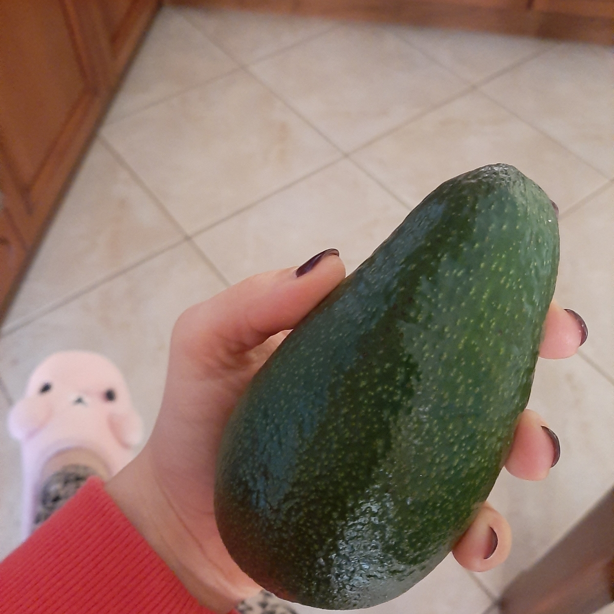 Avocado from Penny - Vegan Product Reviews & Ratings | abillion