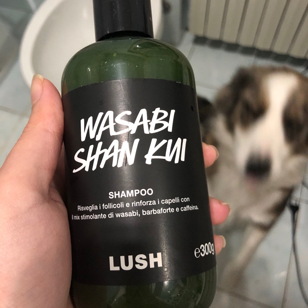 Lush Fresh Handmade Cosmetics Wasabi Shan Kui Reviews Abillion