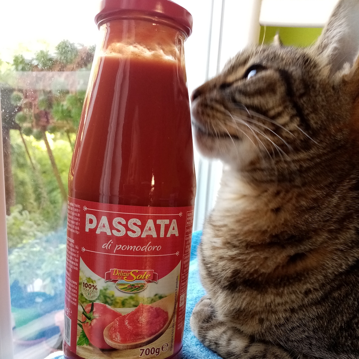 Passata rustica di pomodoro from Delizie dal Sole - Vegan Product ...