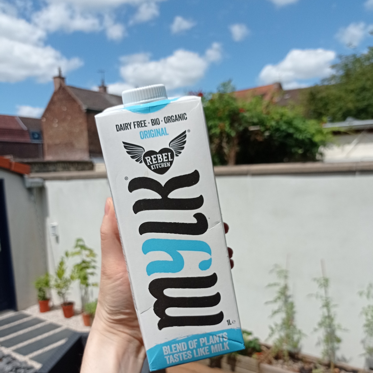 Organic Whole Mylk from Rebel Kitchen - Vegan Product Reviews & Ratings ...