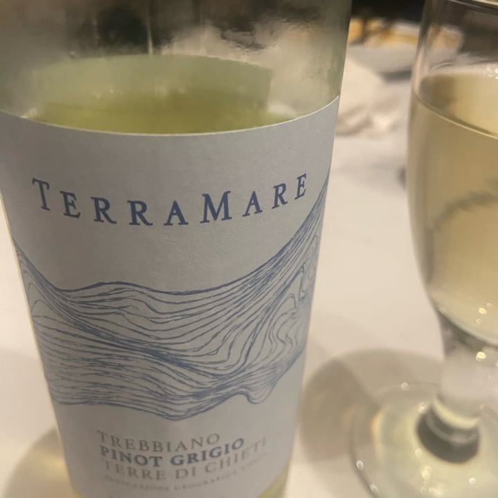 terramare pinot grigio Review | abillion