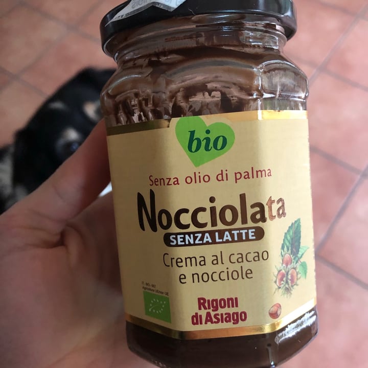 Rigoni di Asiago Nocciolata Dairy Free Hazelnut Spread with Cocoa ...