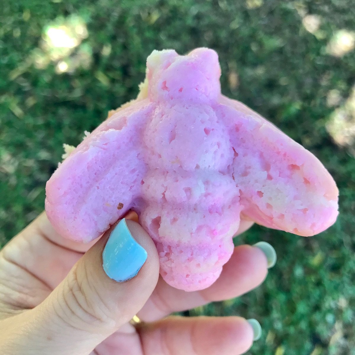 Pani Dough from Pani - Vegan Product Reviews & Ratings | abillion