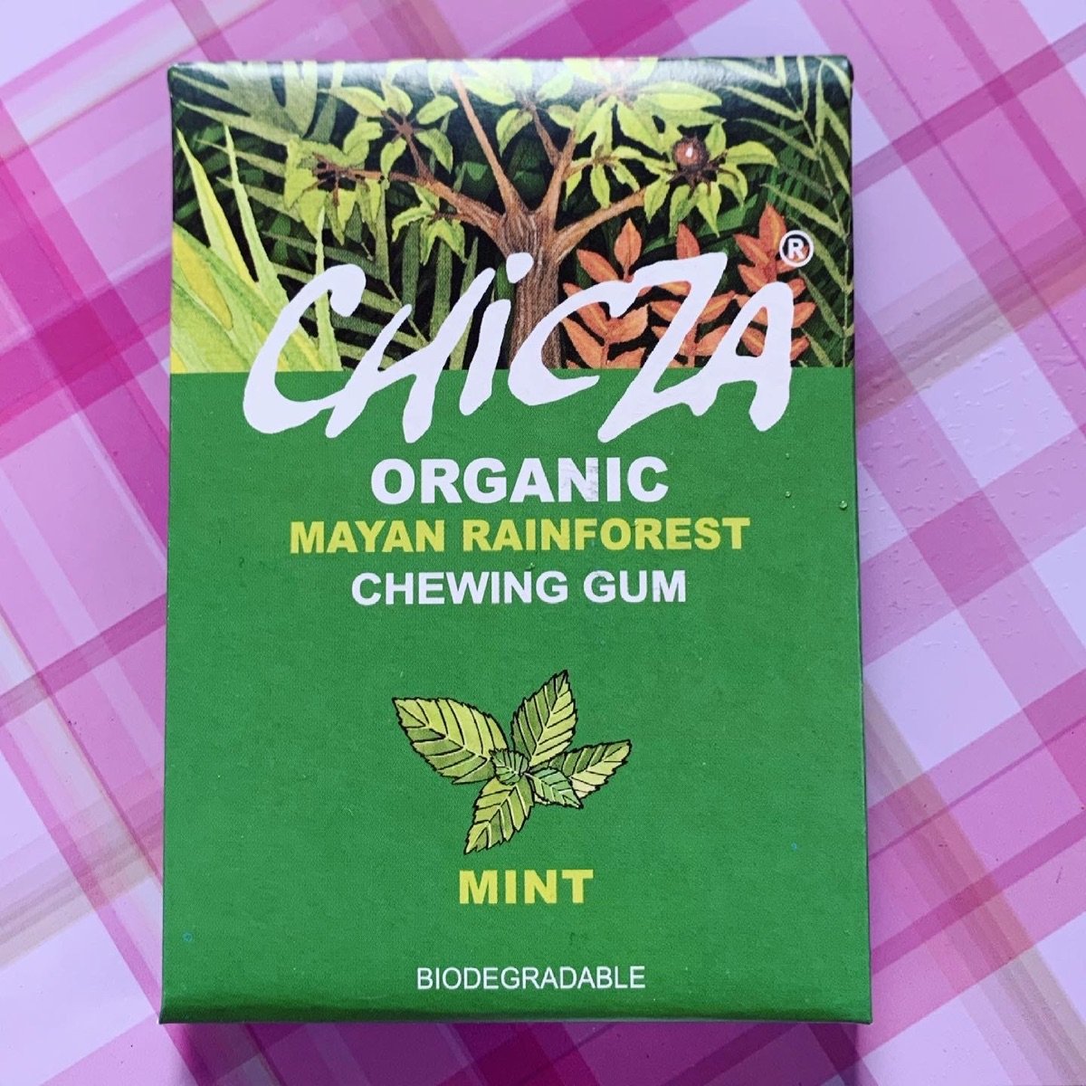 Organic Mayan Rainforest Chewing Gum: Mint from Chicza - Vegan Product ...