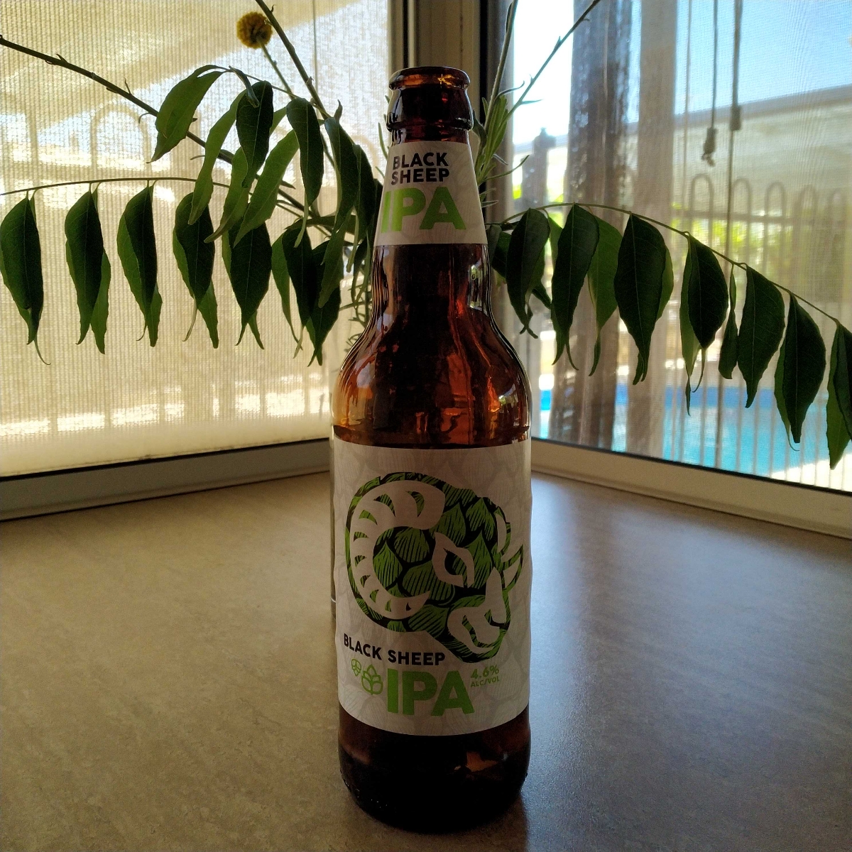 Black sheep IPA from Black Sheep Brewery - Vegan Product Reviews ...