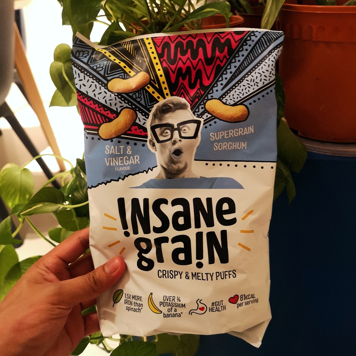 Salt & Vinegar Sorghum Puffs from Insane Grain - Vegan Product Reviews ...