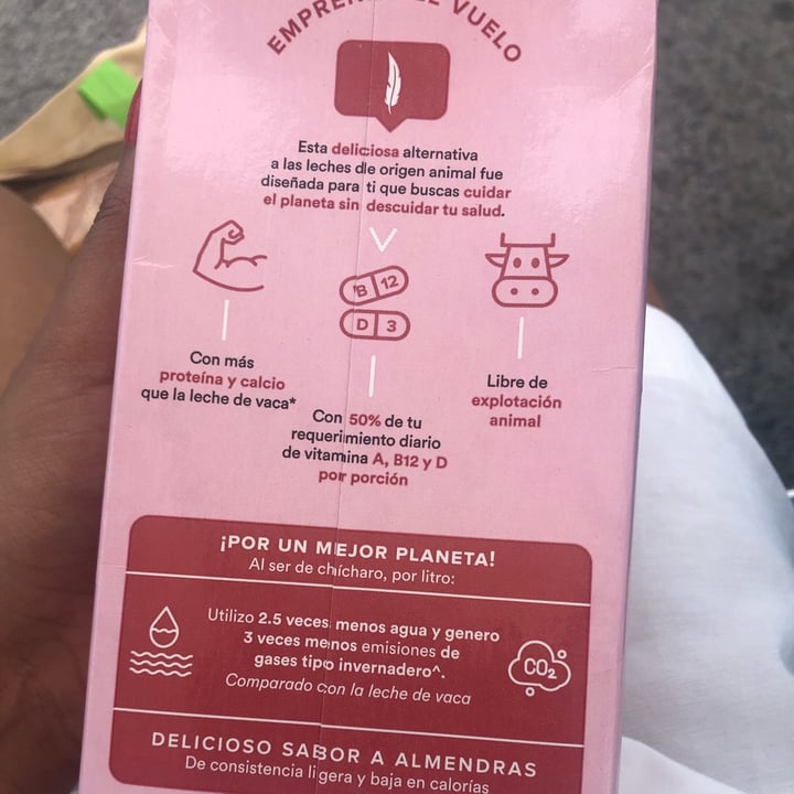 Birdman Leche De Almendras Review | abillion