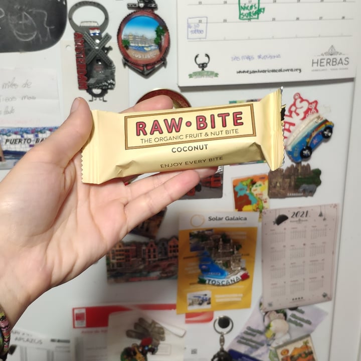 Raw Bite Raw Bite Coconut Review | abillion