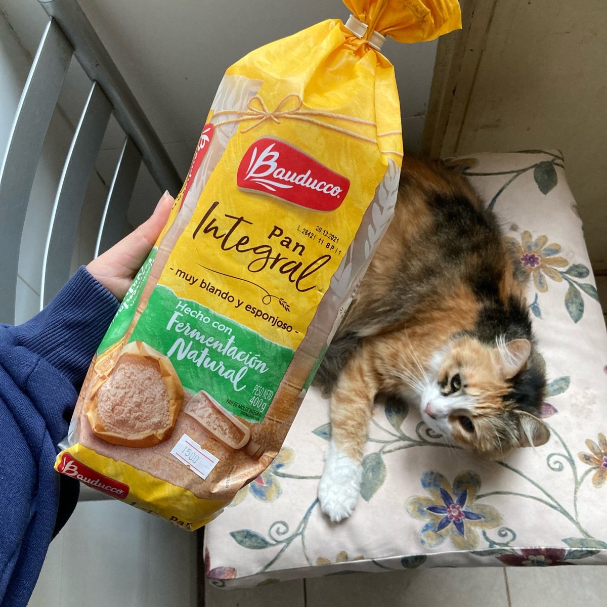 Bauducco Pan Integral Reviews | abillion