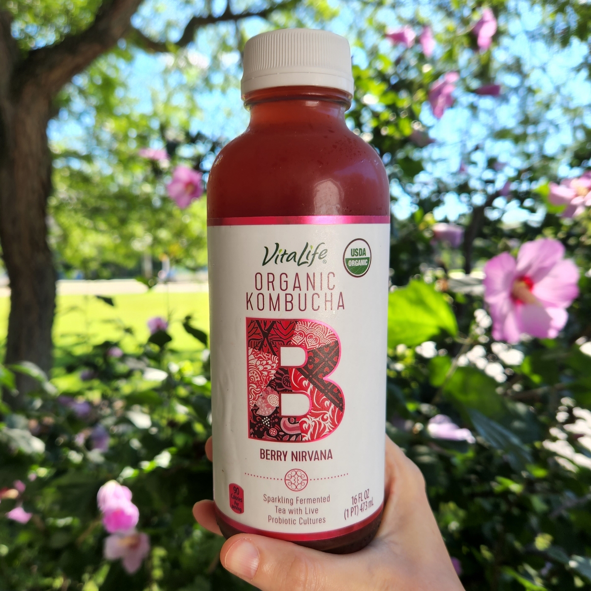 Organic Kombucha Berry Nirvana from VitaLife - Vegan Product Reviews ...
