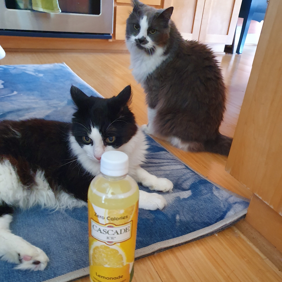 Lemonade from Cascade Ice - Vegan Product Reviews & Ratings | abillion