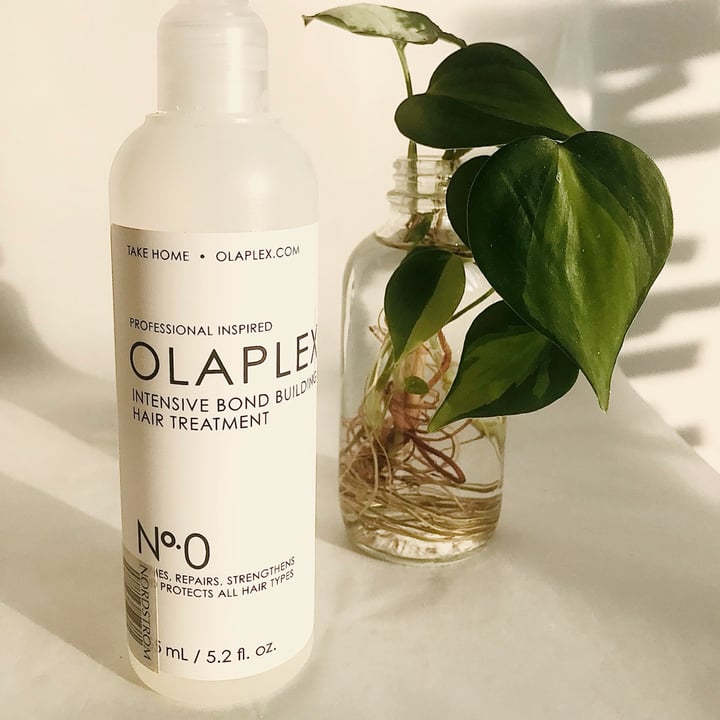 Olaplex No. 0 Intensive Bond Building Hair Treatment Review | abillion