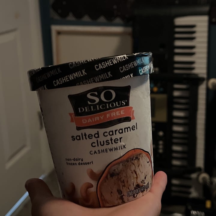 So Delicious Dairy Free Salted Caramel Cluster Cashewmilk Frozen ...