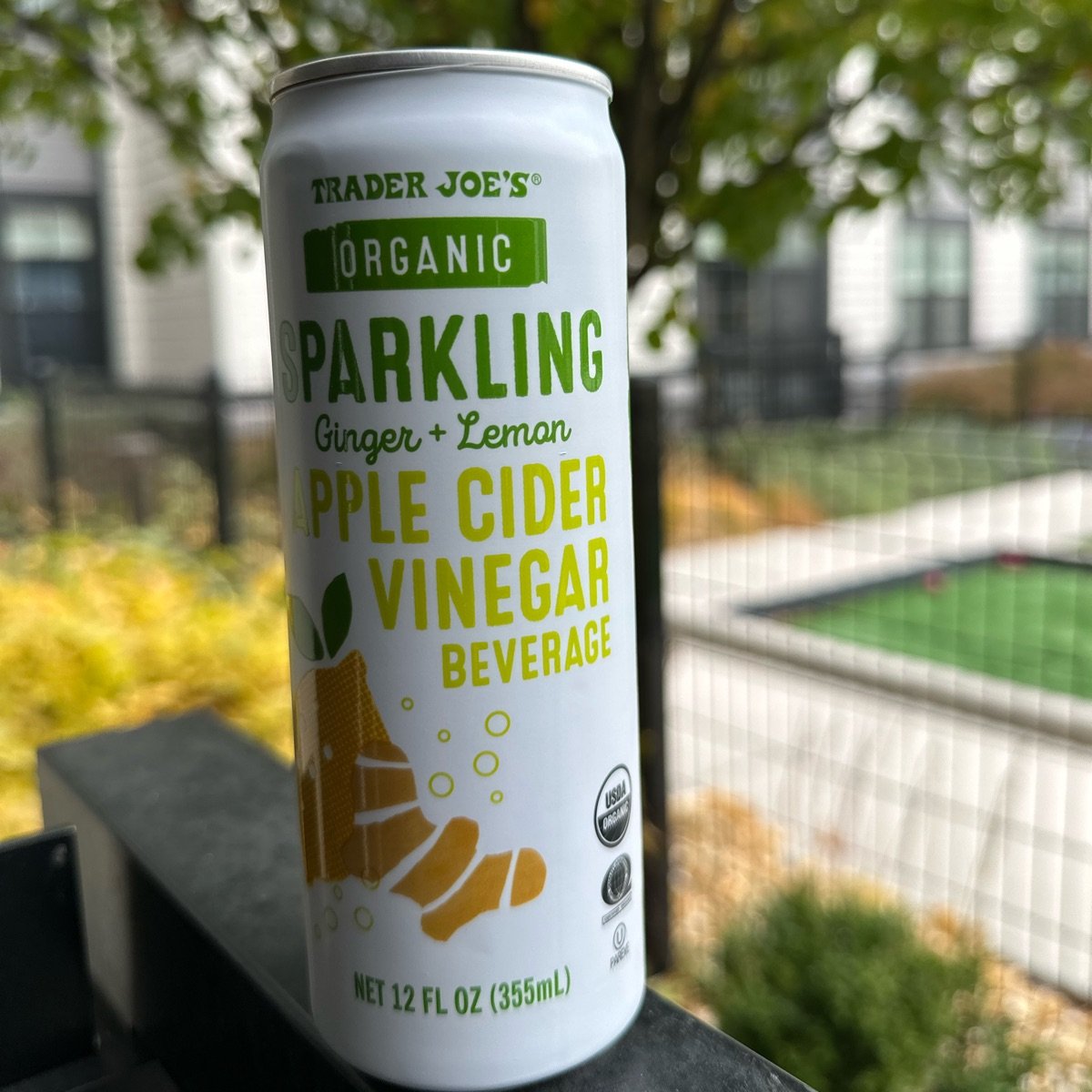 Organic Sparkling Ginger + Lemon Apple Cider Vinegar Beverage from Trader Joe's - Vegan Product ...