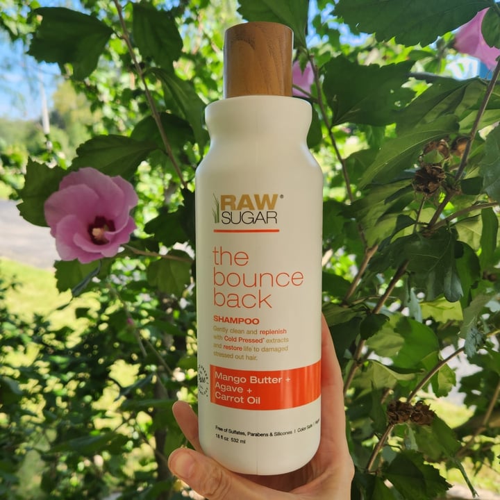 Raw Sugar The Bounce Back Shampoo Mango + Agave + Carrot Oil Review ...