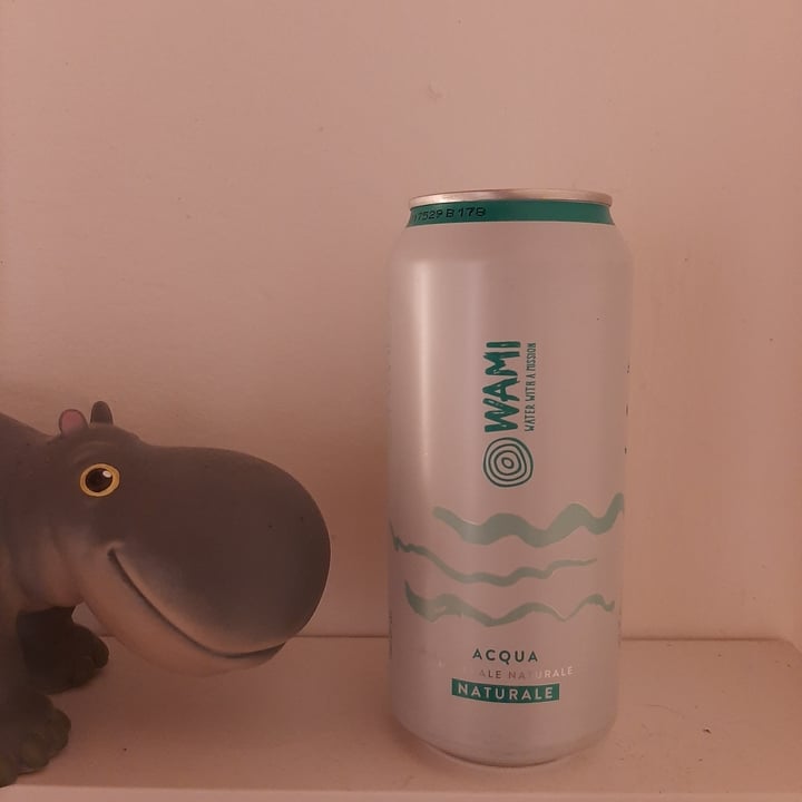 Wami srl Water with a mission Review | abillion