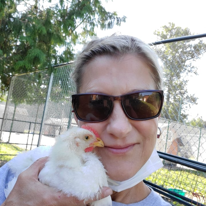 marij (@marij) | abillion