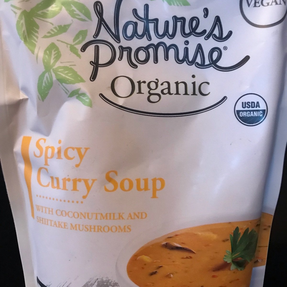 Spicy Curry Soup from Nature's Promise - Vegan Product Reviews ...