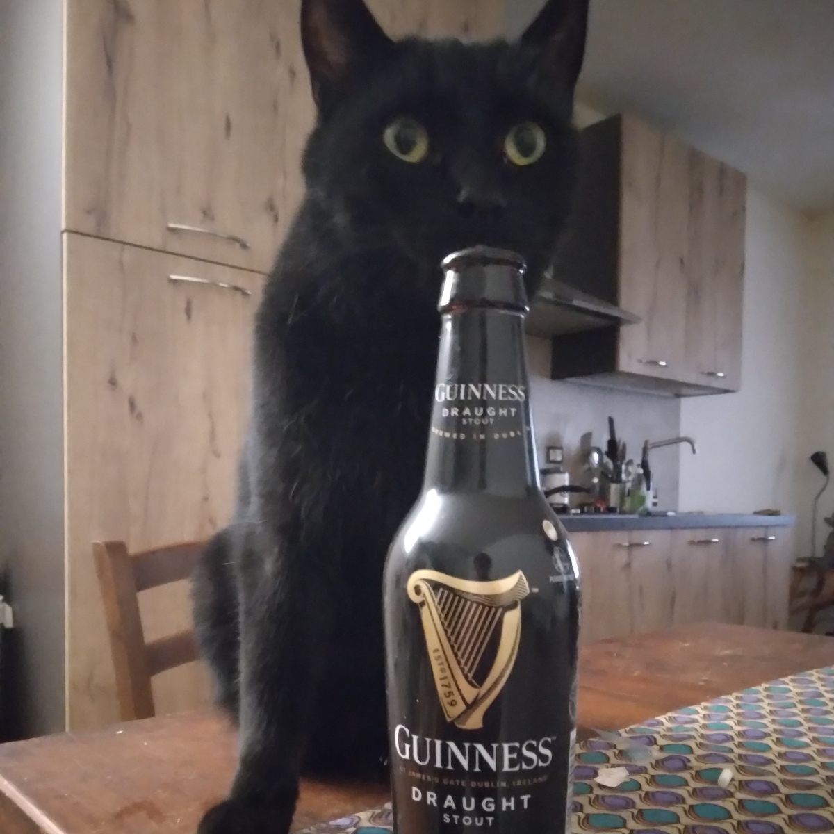 Guinness Draught Stout Reviews | abillion