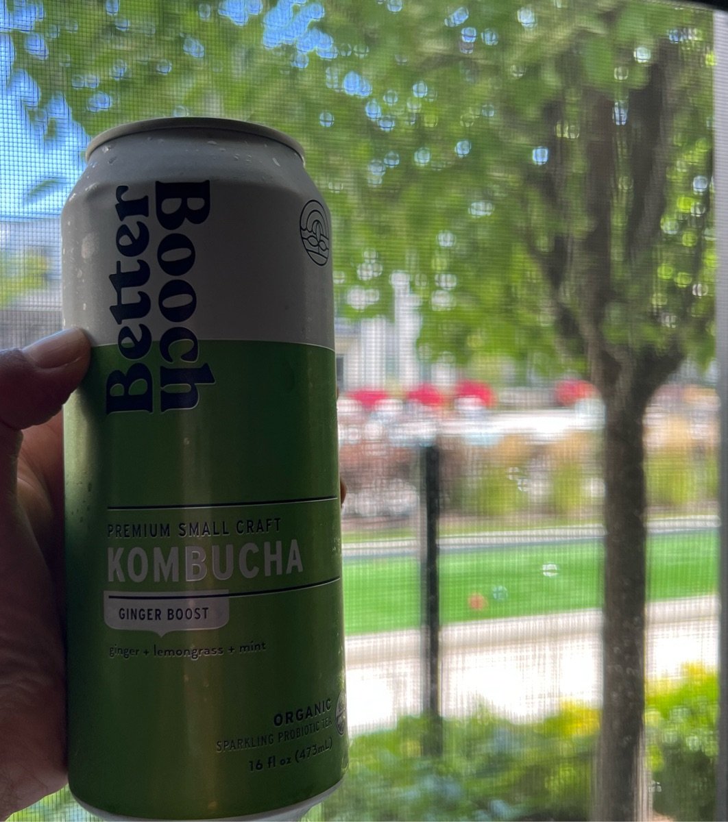 Better Booch Ginger Boost Reviews | abillion Better Booch Ginger Boost Reviews | abillion