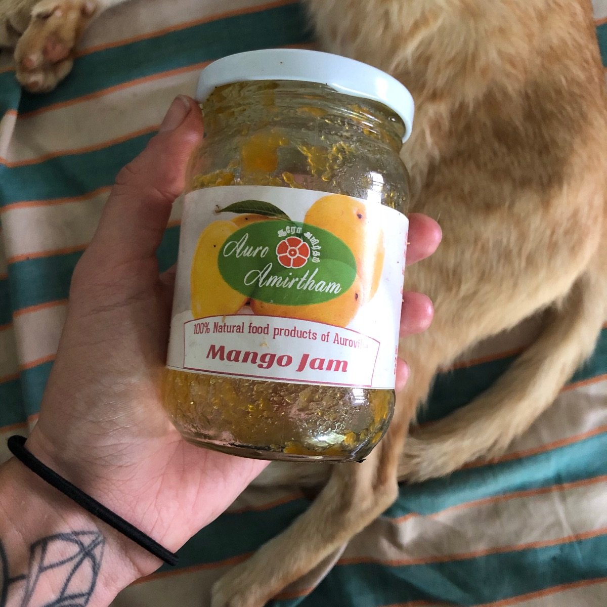 Mango Jam from Auro Amirtham - Vegan Product Reviews & Ratings | abillion