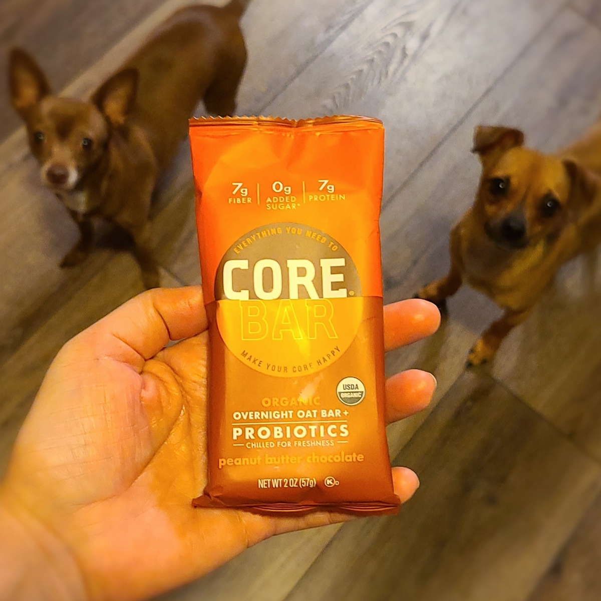 CORE Bar Peanut Butter Chocolate Reviews | abillion