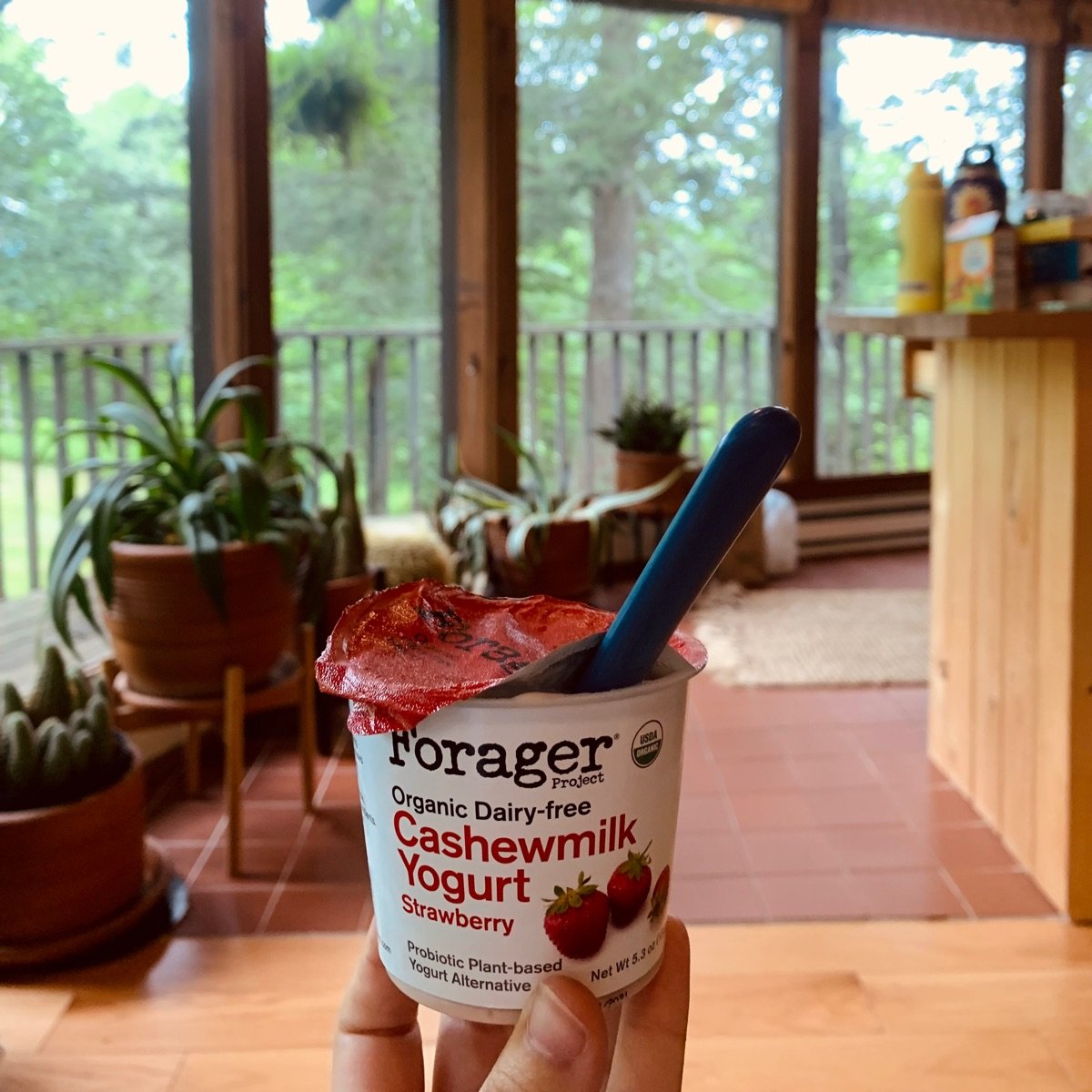 Strawberry yogurt from Forager Project - Vegan Product Reviews ...
