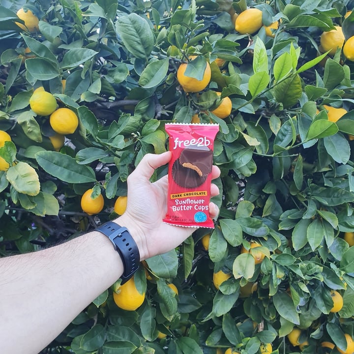Free2b Foods Sun Cups Dark Chocolate Review | abillion
