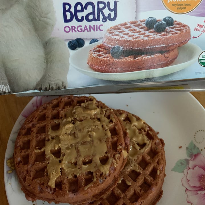 Nature's Path Foods Pink Blueberry Polar Beary Review | abillion