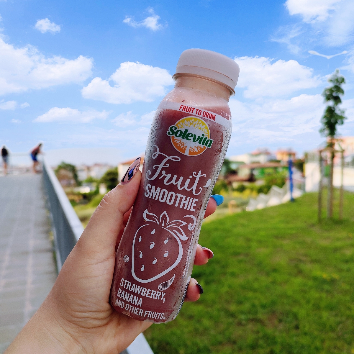 Fruit Smoothie - strawberry, banana, other fruit from Solevita - Vegan ...